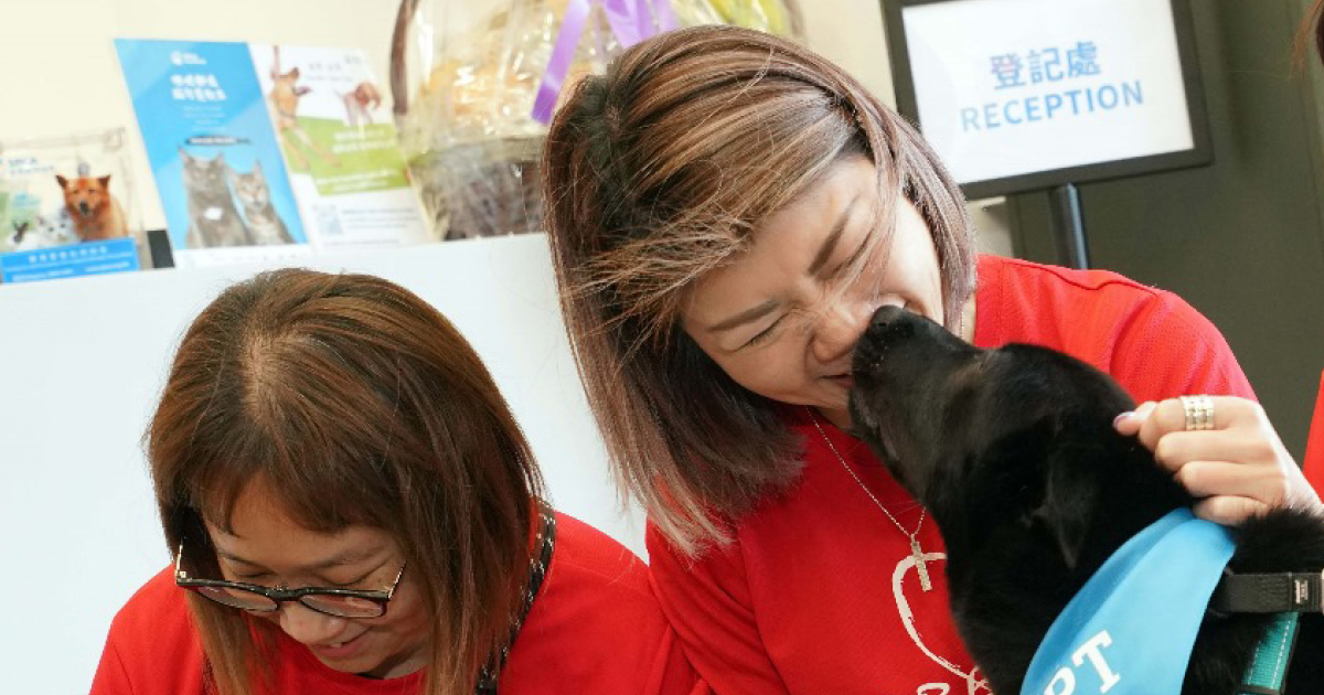 CARE Volunteer Team supports the opening ceremony of The SPCA Jockey Club Centennial Centre ...